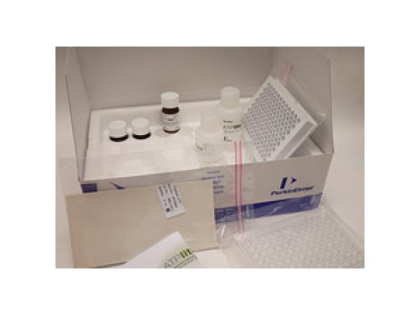 Ciências da Vida - ILC