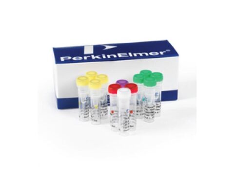 Protein Low Molecular Weight Assay Reagent Kit - ILC