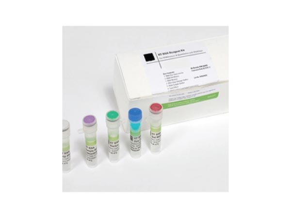 Ciências da Vida - ILC